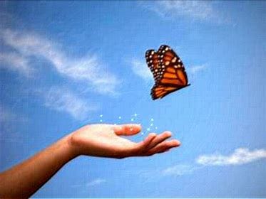 The Art of Letting go. Embrace the freedom of letting go… | by Thought ...