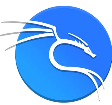 Understanding what Kali Linux is and its function in the world of ...