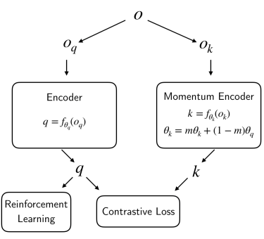 CURL: Simple, Strong Representations for Pixel-Based Reinforcement ...