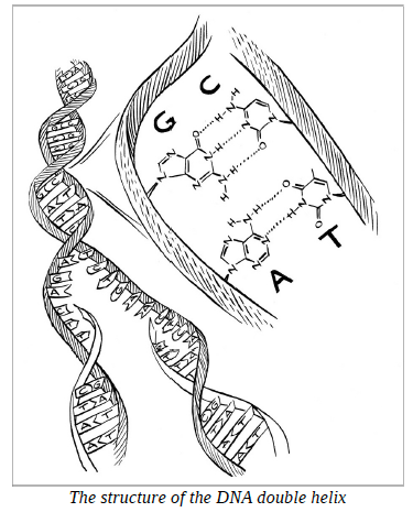 Essence of the book “A Crack in Creation” on Gene Editing by Jennifer A ...