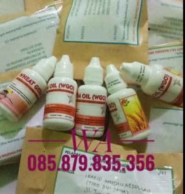 WA 085 879 835 356, Vitamin Ternak Kenari, Vitamin Buat Ternak Kenari ...