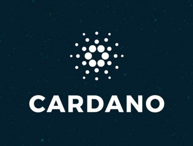 How to get started on DeFi in Cardano | by Elroy Tay | Medium