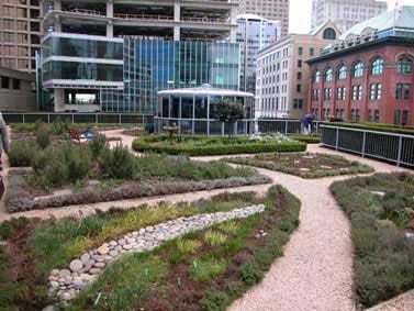 Raising the (Green) Roof at NYU | by NYU Local | NYU Local