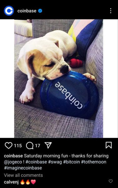 Coinbase Founder’s Dog Finally Revealed. | by Jogeco the dog | Medium