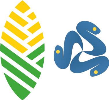 Hypercorn is now a Trio ASGI Server | by Philip Jones | Medium