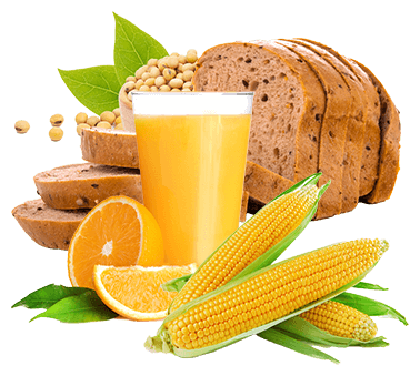 Discover How The Foods You Eat Every Day Are Making Your Fat Cells SICK ...