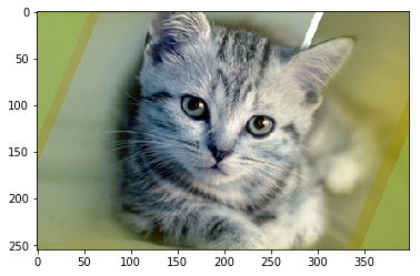 Image Color using OpenCV Python | by SPo31 | Medium