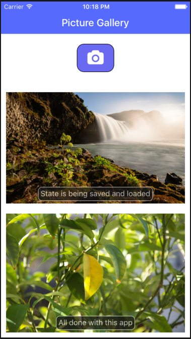Create a Stateful Camera Gallery App with Font Awesome using Nativescript Vue | by Angel ...