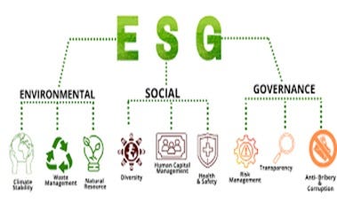 Analyzing the Impact of ESG Performance on Corporate Outcomes in the ...