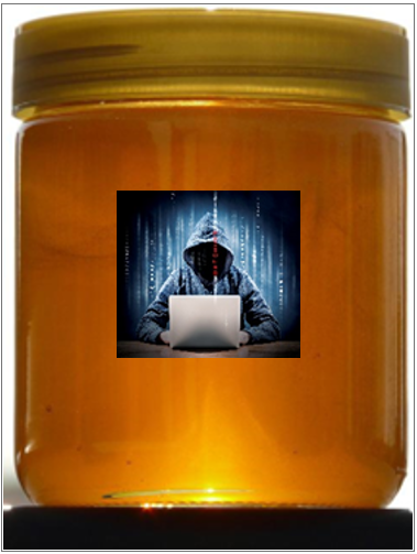 The Honey Pot Project. I will explain the basics of setting up… | by ...