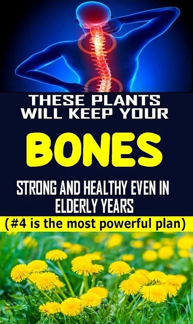 5 Plants That Can Help You Take Care Of Your Bone Health - Mary ...