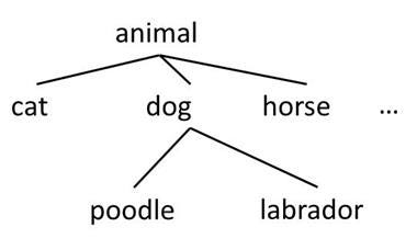 Is it a cat or an animal?. ChatGPT semantics Part I | by A. Klerwin ...