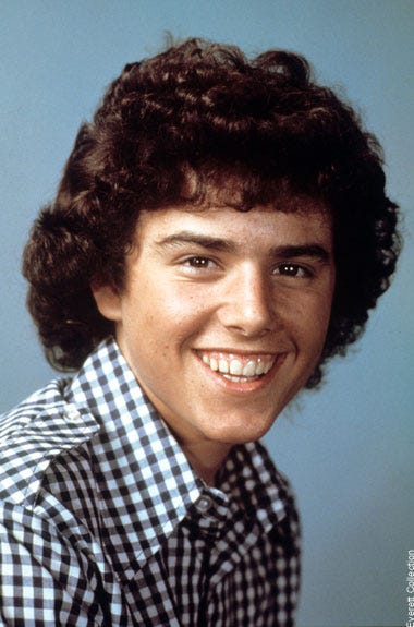Peter Brady Bunch