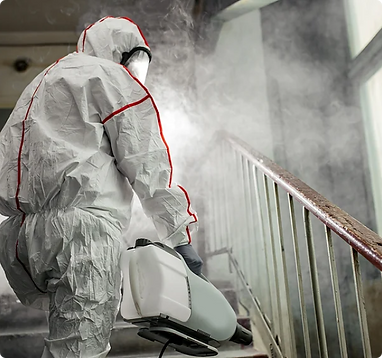 A Complete Guide to Mould Cleaning: Say Goodbye to Unwanted Growth | by ...