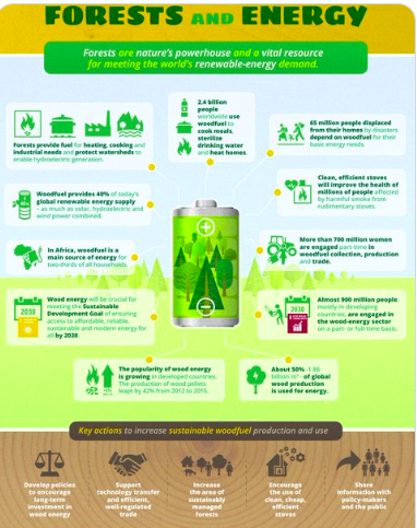 Unlocking the Power of Forests: A Guide to Sustainable Woodfuel ...