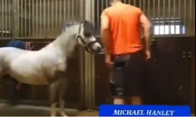 Michael Hanley Horse Video Mr Hands — Twitter Michael Hanley horse ...