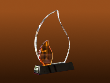 Various Corporate Trophy Categories You Can Expect From A Supplier | by ...