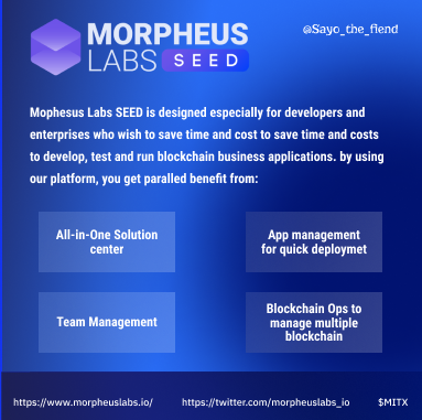 About Morpheus Labs SEED. SEED is the acronym for Solution… | by Gabriel Tommy | Medium