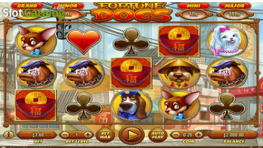 Fortune Dogs. Habanero adalah studio modern yang… | by eraplay88 | Jan ...