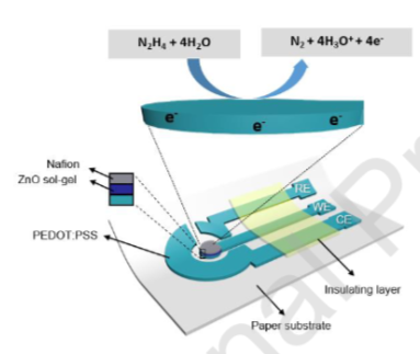 Material Berkelanjutan : Biodegradable PEDOT: PSS sebagai Sensor ...