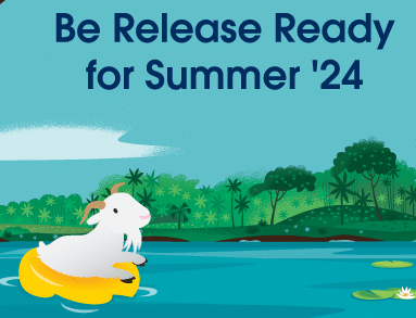 Salesforce Summer ’24 Release Notes highlights | by Cloud Architect ...