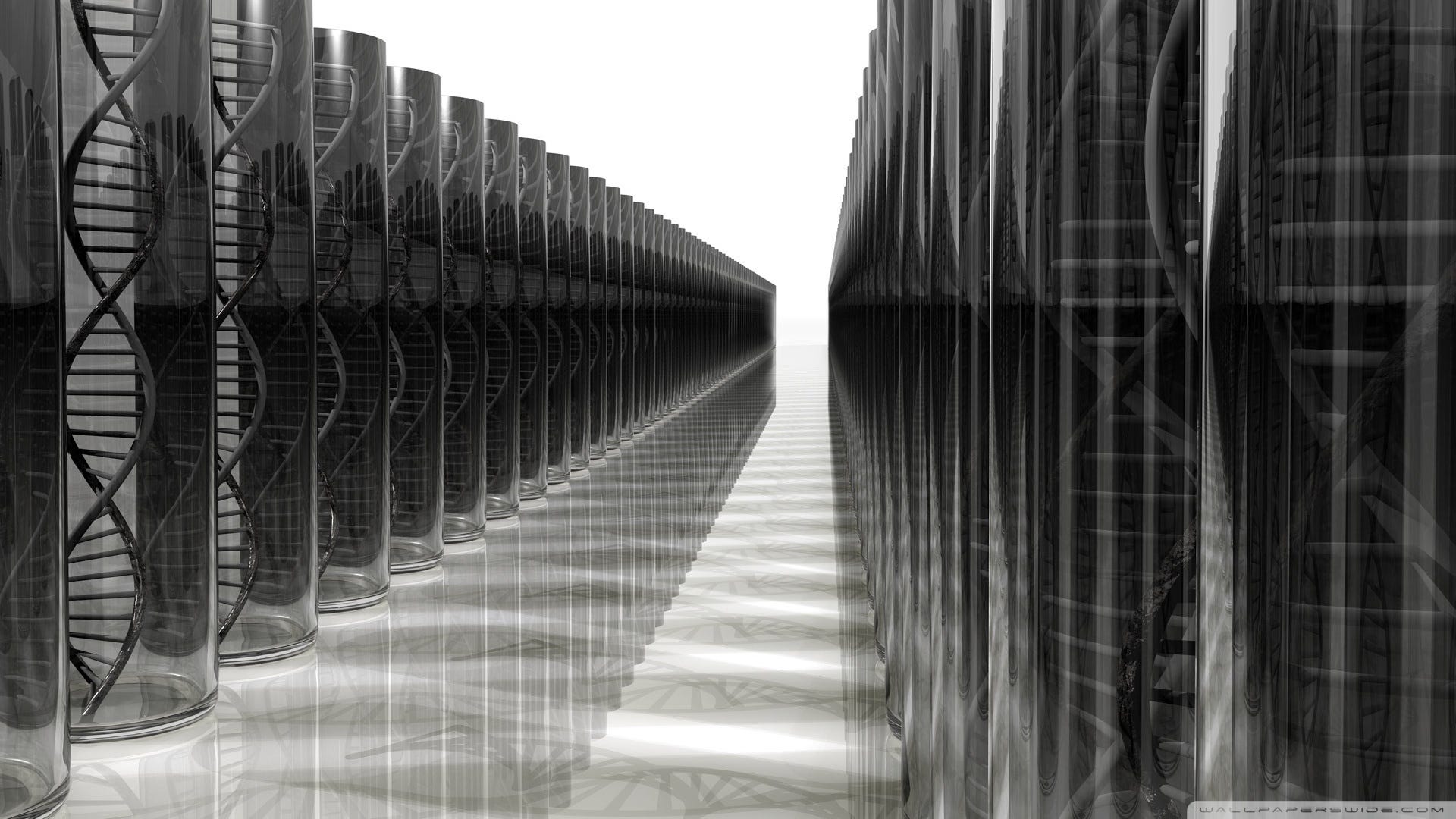Dna Computers Vs Quantum Computers