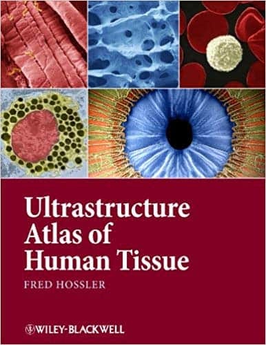 Ultrastructure Atlas of Human Tissues — eBook PDF | by Educebo7 | Medium