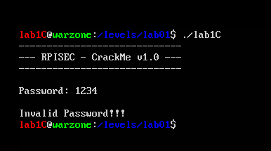 Modern Binary Exploitation, WriteUp | by Luis Pozo Gilo | Medium