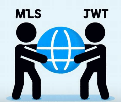 Choosing Between mTLS and JWT over TLS: A Practical Guide For Securing ...