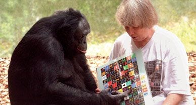 The Uniqueness of Humans. Part 1: Man vs. Beast | by Dr. Shaul Dar ...