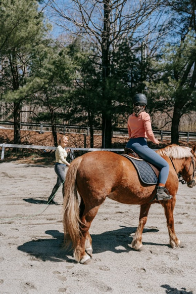 Bridging the Gap — Innovative Approaches to Overcoming Training Challenges with Your Horse | by ...