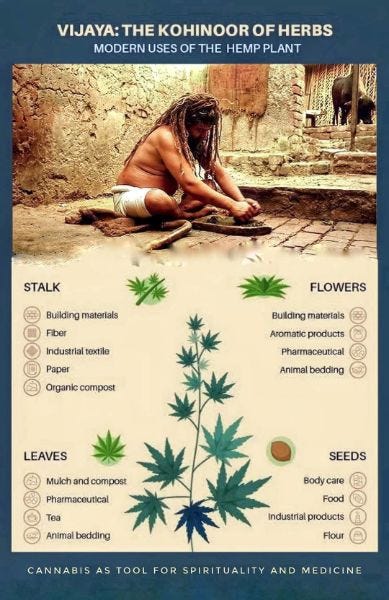 The Use Of Cannabis In Ancient India (Ayurveda) | by News365Times | Dec ...