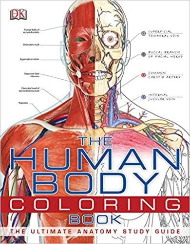 Best anatomy and physiology book for medical students 2021 | by ...