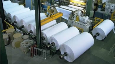 Starch for Paper Making. Angel Starch & Chemicals Pvt. Limited… | by ...