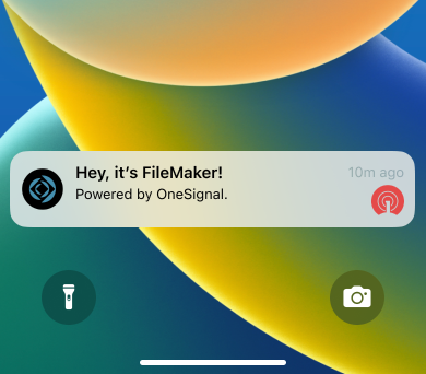 Push Notification in FileMaker with OneSignal | by Francesco De Marco | Medium
