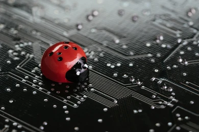 Comprehensive Guide: Taking Memory Dumps on Windows for Advanced ...