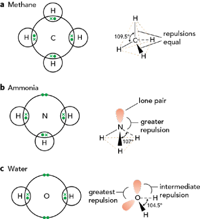 Shapes of molecules Easy Learning With Examples | by Sohailsunny | Nov ...