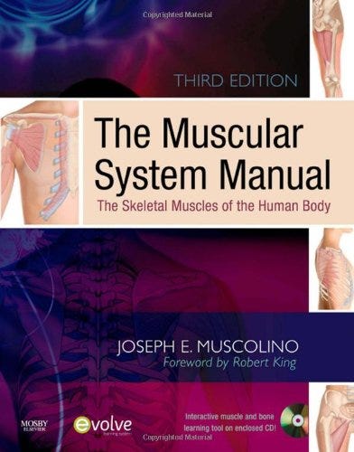 [PDF]-The Muscular System Manual: The Skeletal Muscles of the Human ...