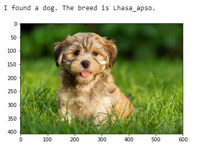 Udacity Project: CNN dog breed classifier | by danZen | Medium