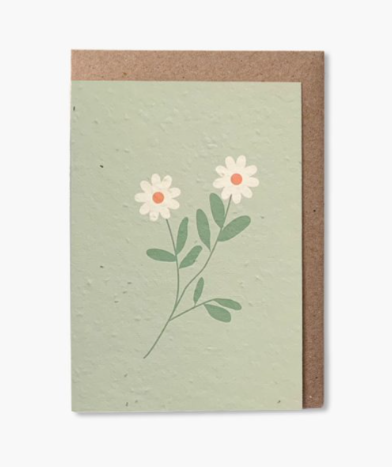 Eco-Friendly Elegance: Seeded Paper Cards in Perth - Paper and Bloom ...