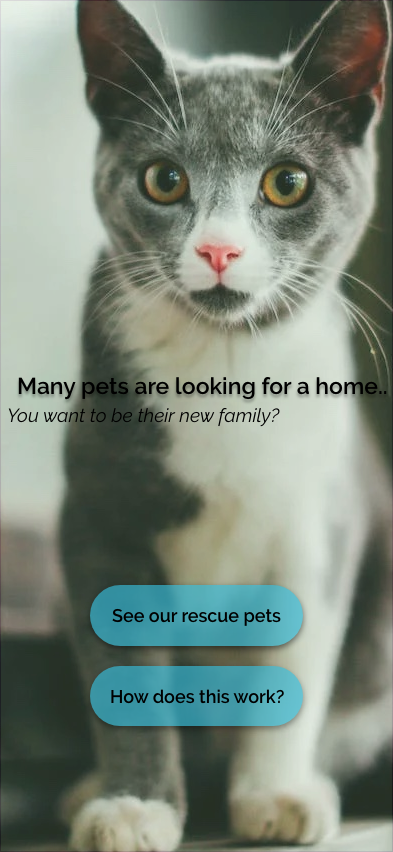 Pet Care App Project — Concepts. For this project of my journey in ...