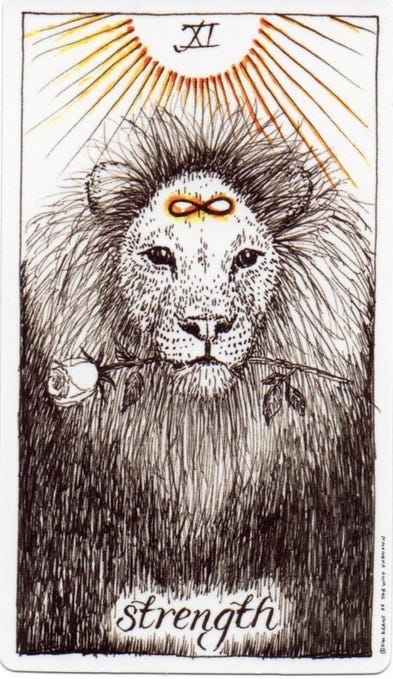 Lion As Archetype, Tarot as Mirror, Artist as Seer | by Jenna Matlin ...
