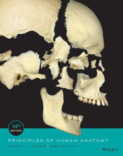 Principles of Human Anatomy (14th Edition) — eBook | by Etextbooky6 ...