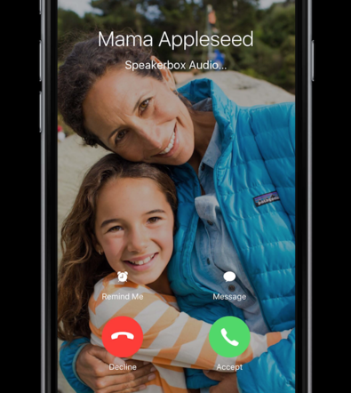 System calling screen with CallKit | by Yusuke Kawanabe | Medium