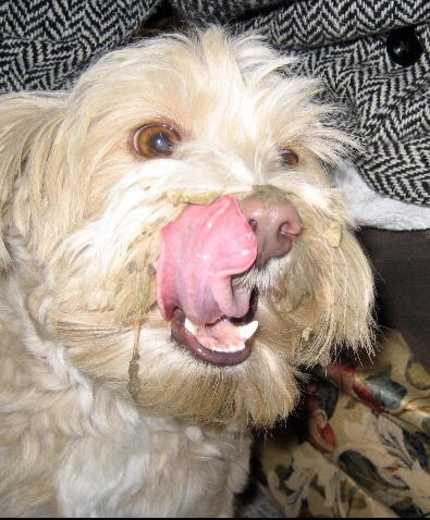 Oh My, No More Pie. In response to Harper’s prompt… | by Jk Mansi ...