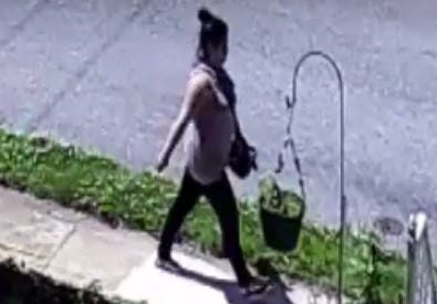 Video: Female mugger robs 82-year-old woman on Mayfair street corner ...