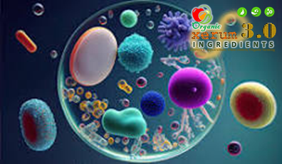 Ang micro organisms ba ay binubuo ng mga good at bad bacteria? | by ...