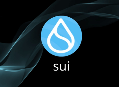 Sui Network Recap — 30 May 2024. Superior Liquidity on a $1,000,000 Swap… | by AntCat | Medium