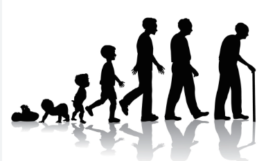 Correlation between Maturity and Age | by Sachin Sharma | Medium