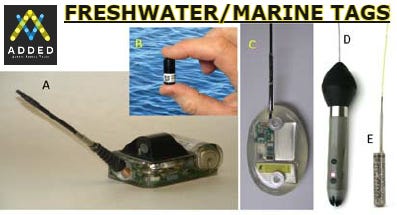 Freshwater and Marine Tags: Essential Tools for Wildlife and Forestry ...
